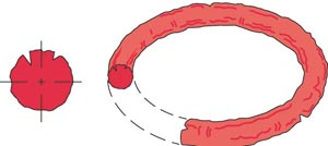 How to Recognize and Avoid the Common Causes of O-ring Failure | Power ...