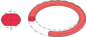 How to Recognize and Avoid the Common Causes of O-ring Failure | Power ...