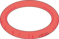 How to Recognize and Avoid the Common Causes of O-ring Failure | Power ...