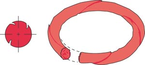 How to Recognize and Avoid the Common Causes of O-ring Failure | Power ...