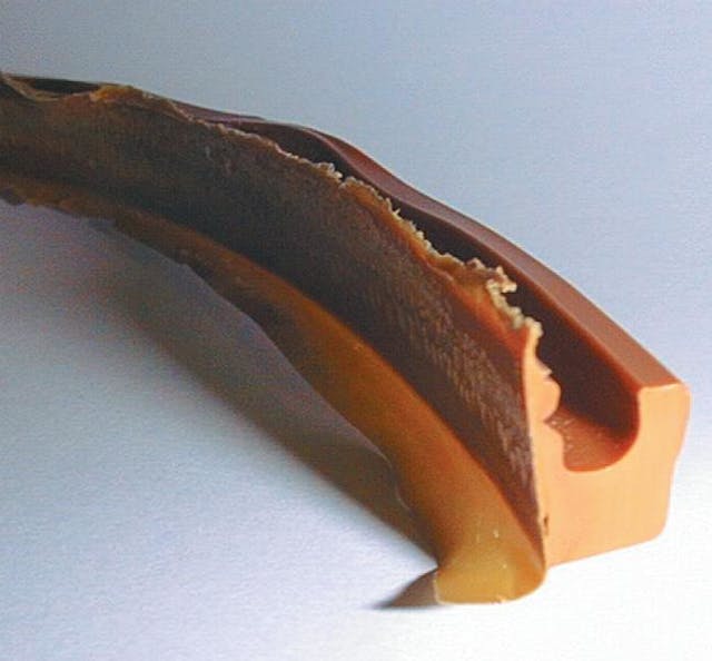 When successful sealing calls for extreme measures | Power & Motion