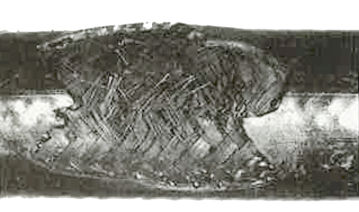 A guide to recognizing the causes of hose failure | Power & Motion