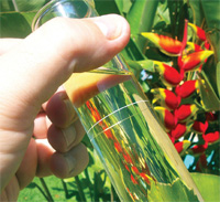 Biodegradable hydraulic fluid | Power & Motion