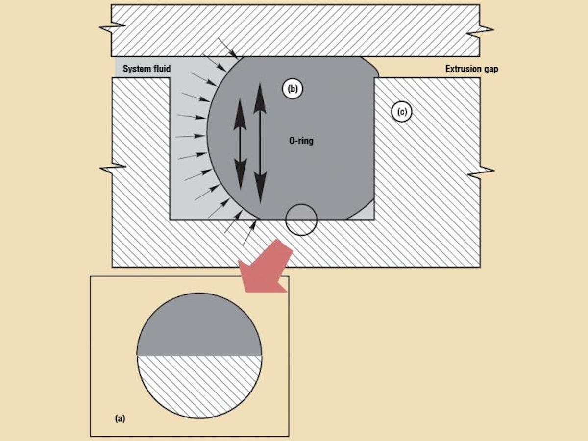 Seals and sealing technology | Power & Motion