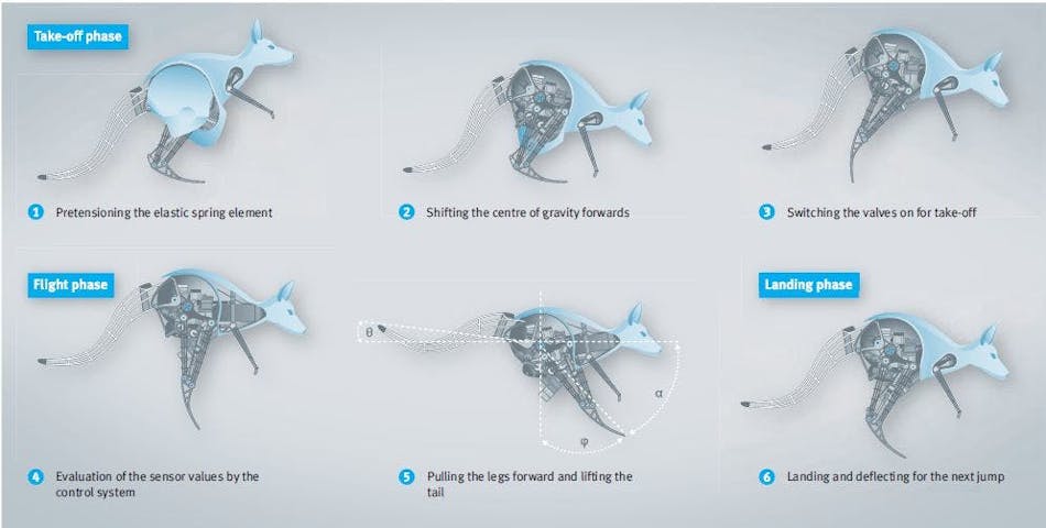 Bionic Kangaroo Brought to Life by Pneumatics | Power & Motion