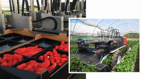 Hydrostatic Drive Is "Berry" Precise | Power & Motion Tech